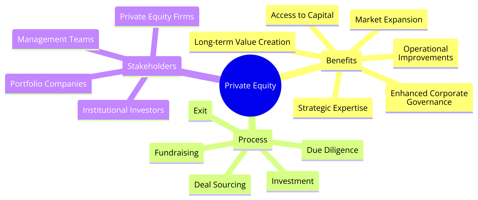 Exploring the Benefits of Private Equity for Long-term Growth - Thomas ...